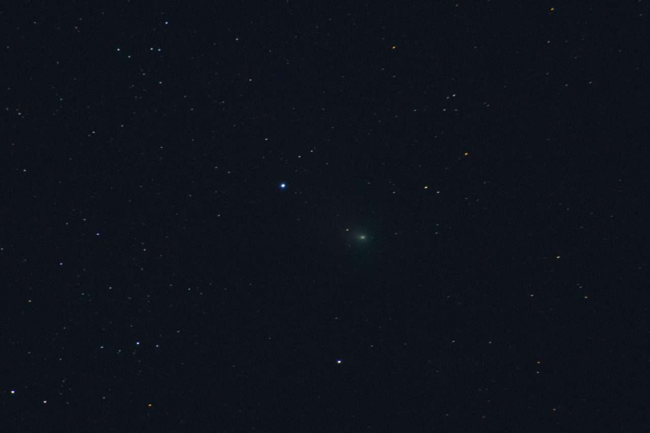 Comet C/2022 E3 (ZTF) on the 7th Feb 2023 by Honor Wheeler and 8th Feb ...