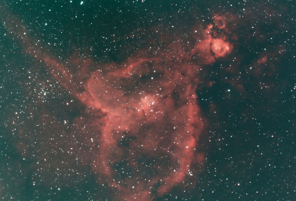 Heart Nebula (IC1805) and Jellyfish Nebula (IC443) by Neil Webster ...