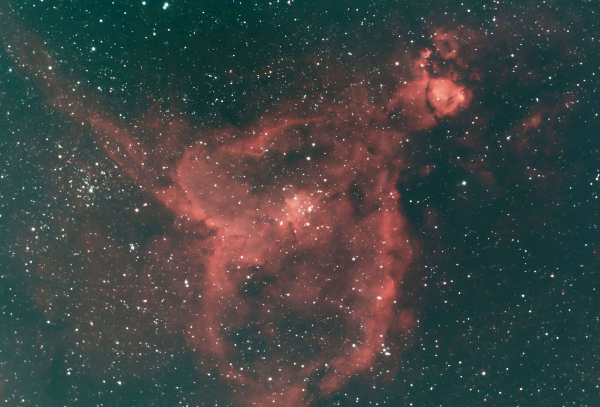 Heart Nebula (IC1805) and Jellyfish Nebula (IC443) by Neil Webster ...