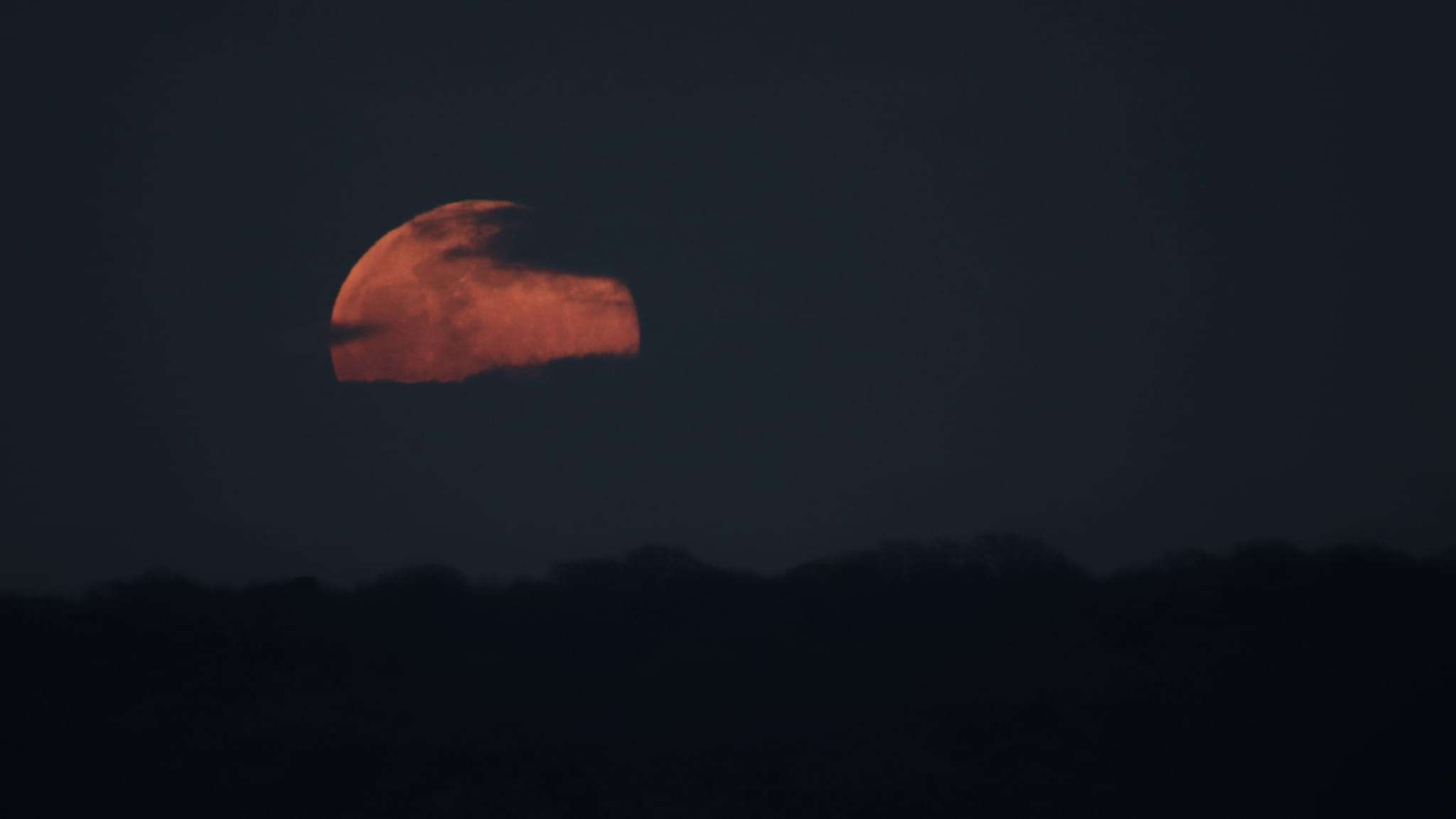Full Worm Moon – 7th March 2023 by Jim Burchell & Honor Wheeler ...