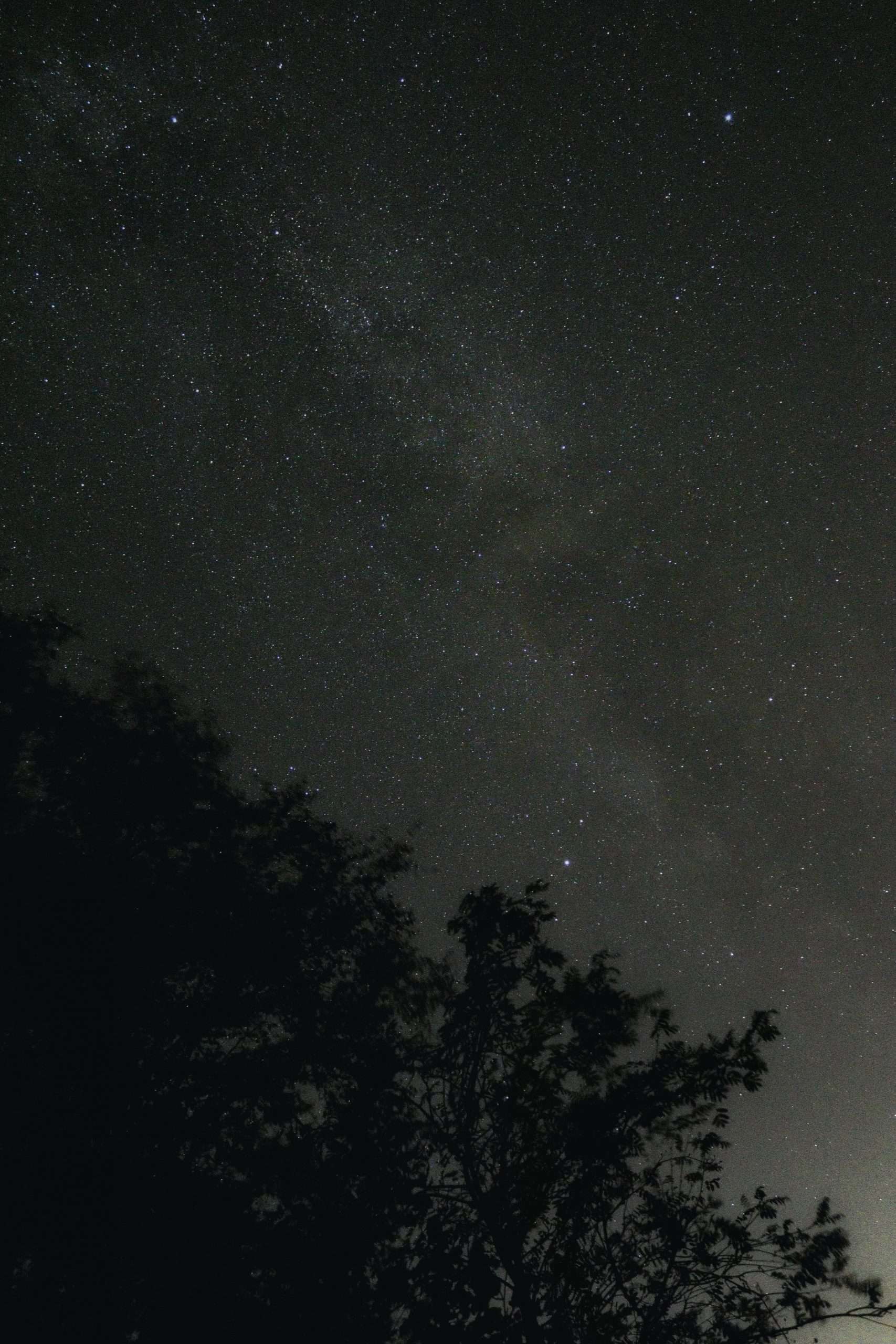 The Milky Way by Honor Wheeler – Oct 2023 – Crayford Manor House ...